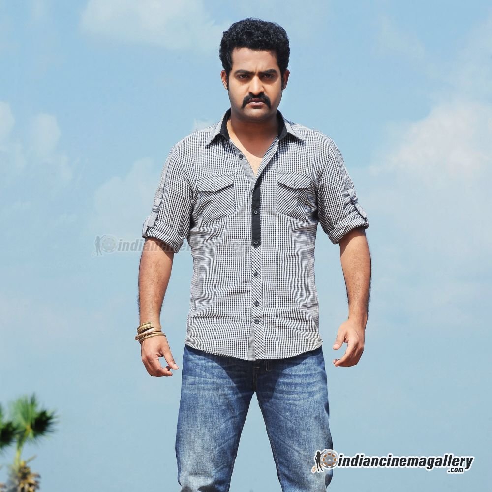 Dammu Ntr Dammu'