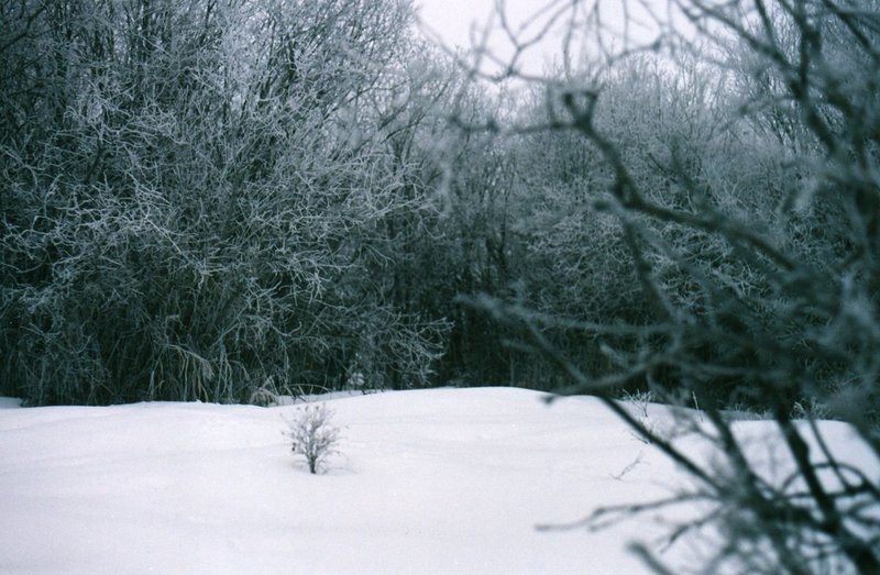 Ashtorath | ReverbNation