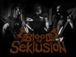 Blood of Seklusion | ReverbNation