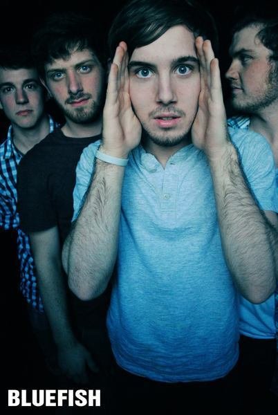 Bluefish | ReverbNation