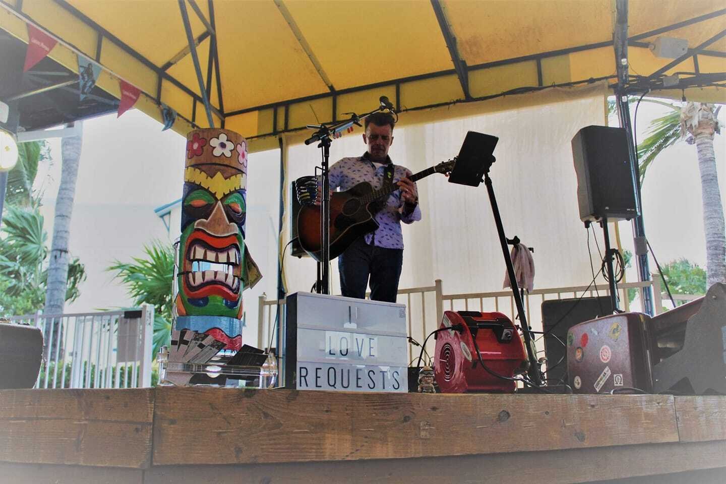 Chris Sirois (aka the artist Chris King) | ReverbNation