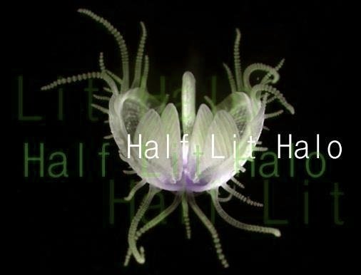 HALF LIT HALO | ReverbNation