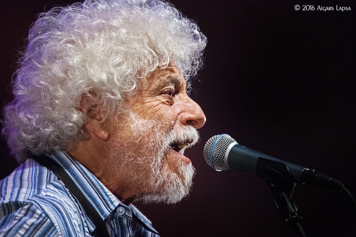 Lowell Levinger - Banana From The Youngbloods | ReverbNation