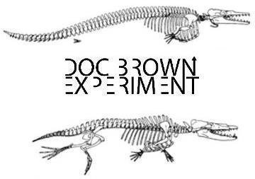 Doc Brown Experiment | ReverbNation