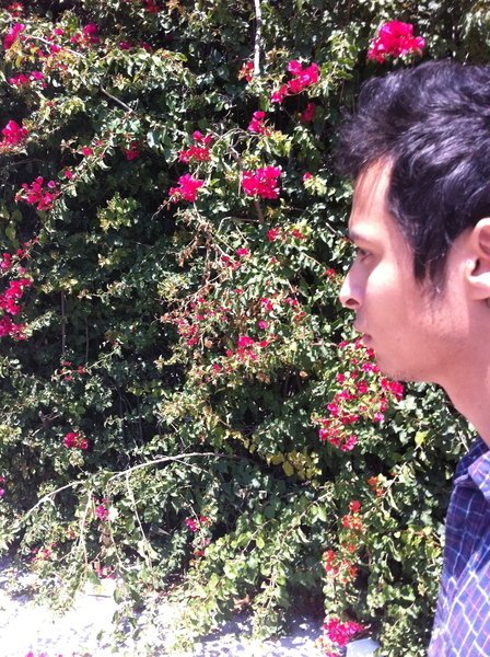 Fun Guns | ReverbNation