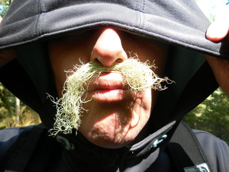 Ode To Susan Geiss by Patrick Shandy and the Glorious Emissions ...