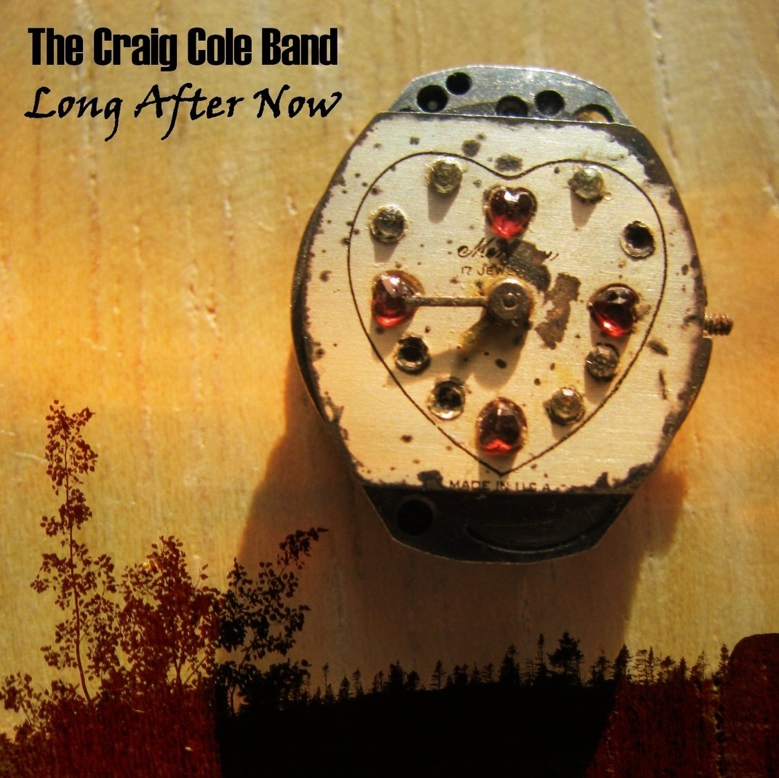 Craig Cole Band | ReverbNation