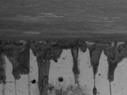 Ann Marie Calhoun | ReverbNation