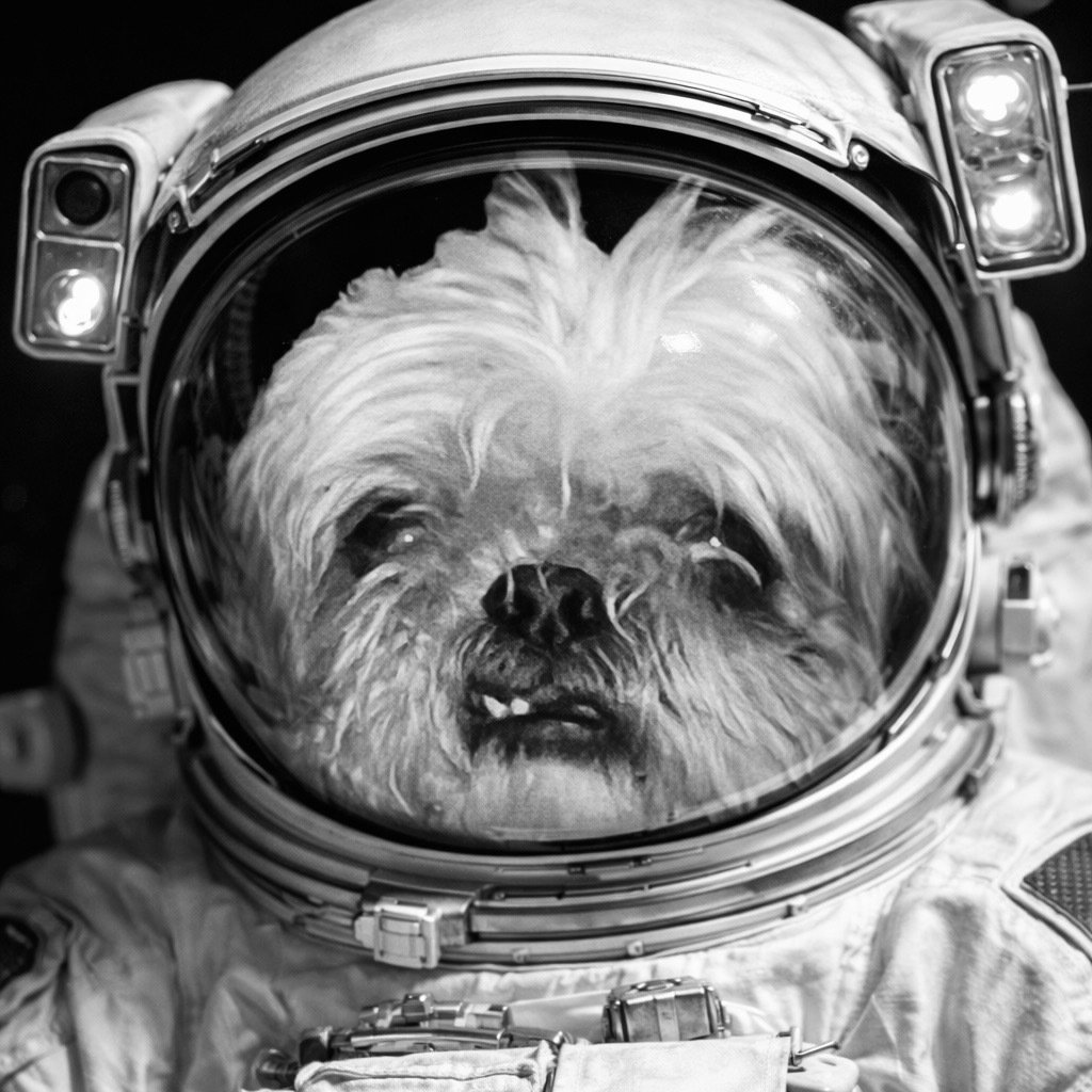 Fat Astronaut | ReverbNation