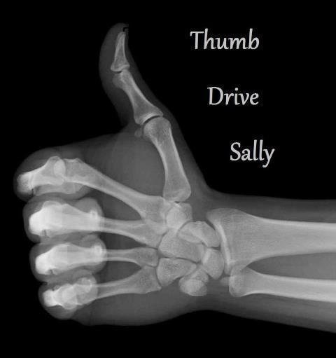 Thumb Drive Sally | ReverbNation