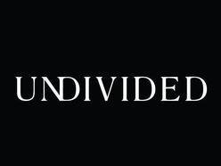Undivided Team | Alternative