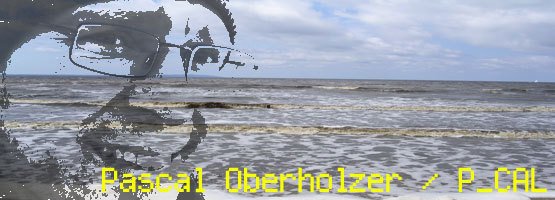 Pascal Oberholzer / P_CAL | ReverbNation