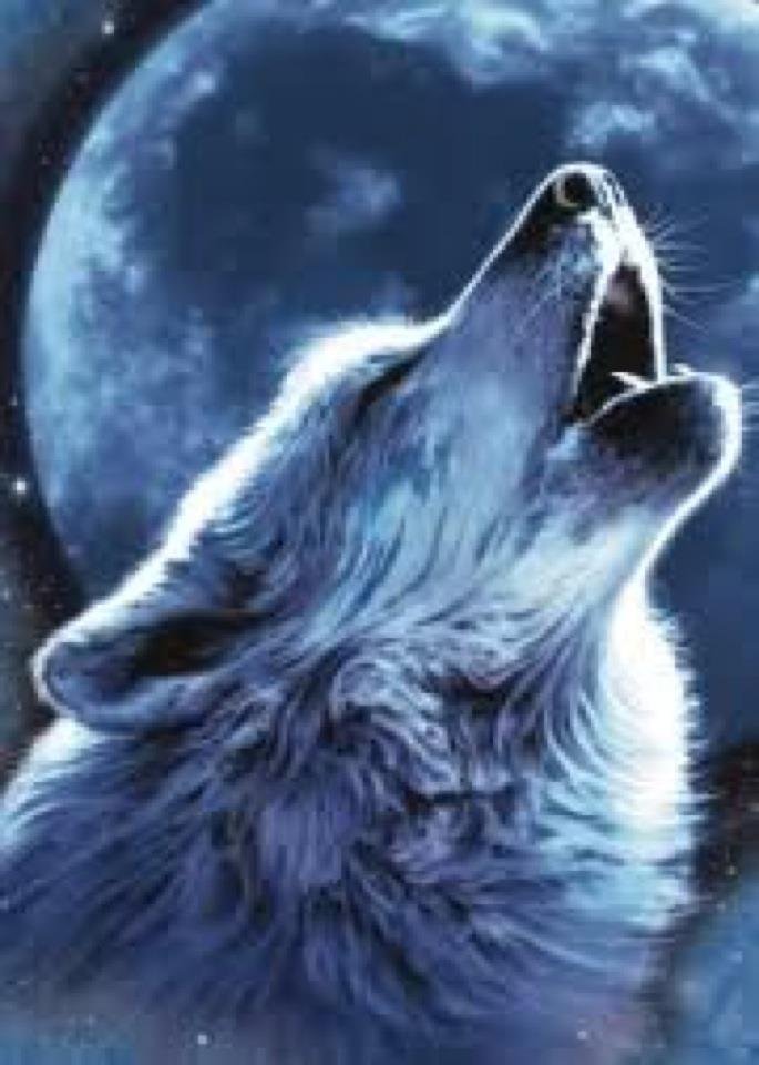 "Howling At The Moon" | ReverbNation