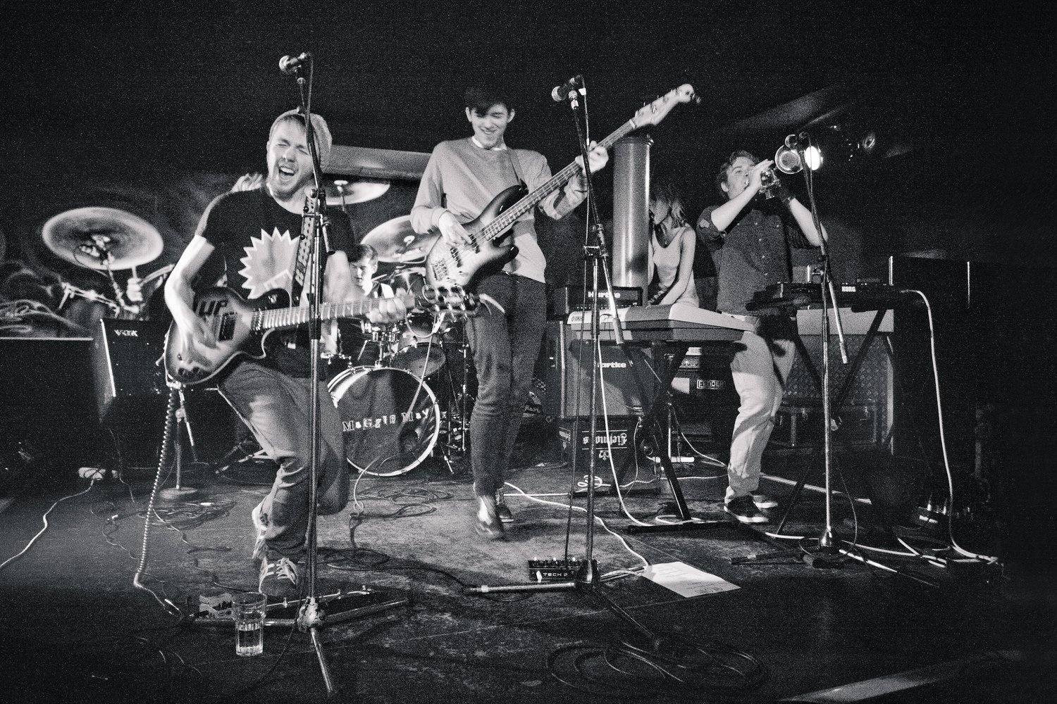 The Cranes | ReverbNation
