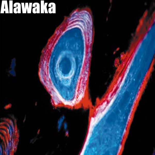 Alawaka | ReverbNation