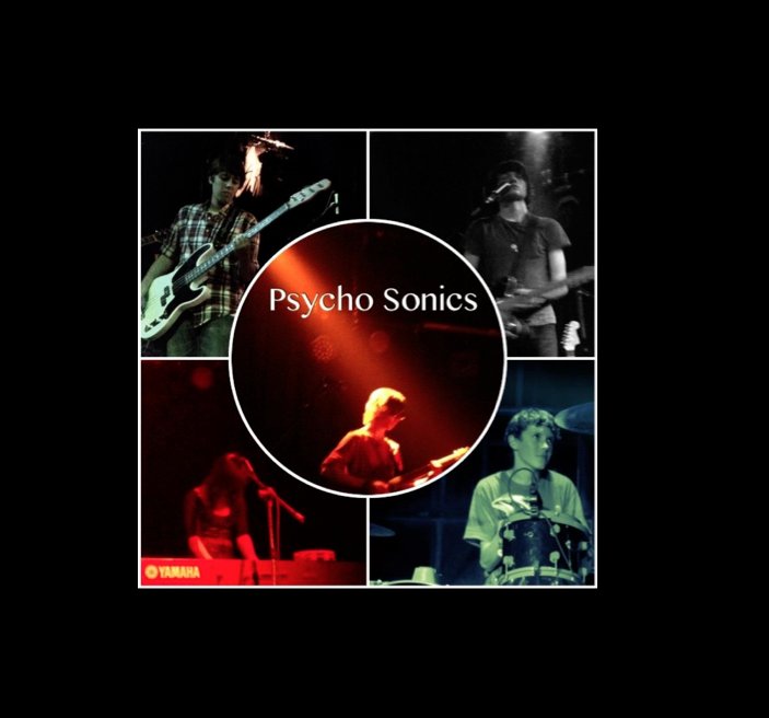 The Psycho Sonics | ReverbNation
