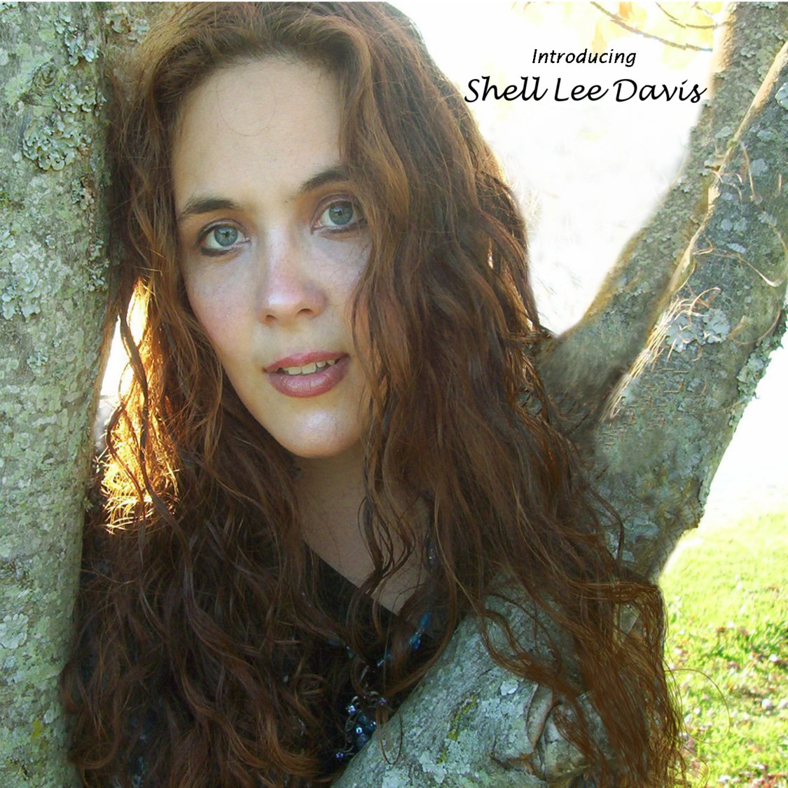 Shell Lee Davis | ReverbNation