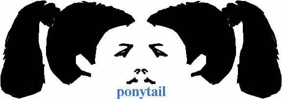Ponytail: Science and Insight | ReverbNation