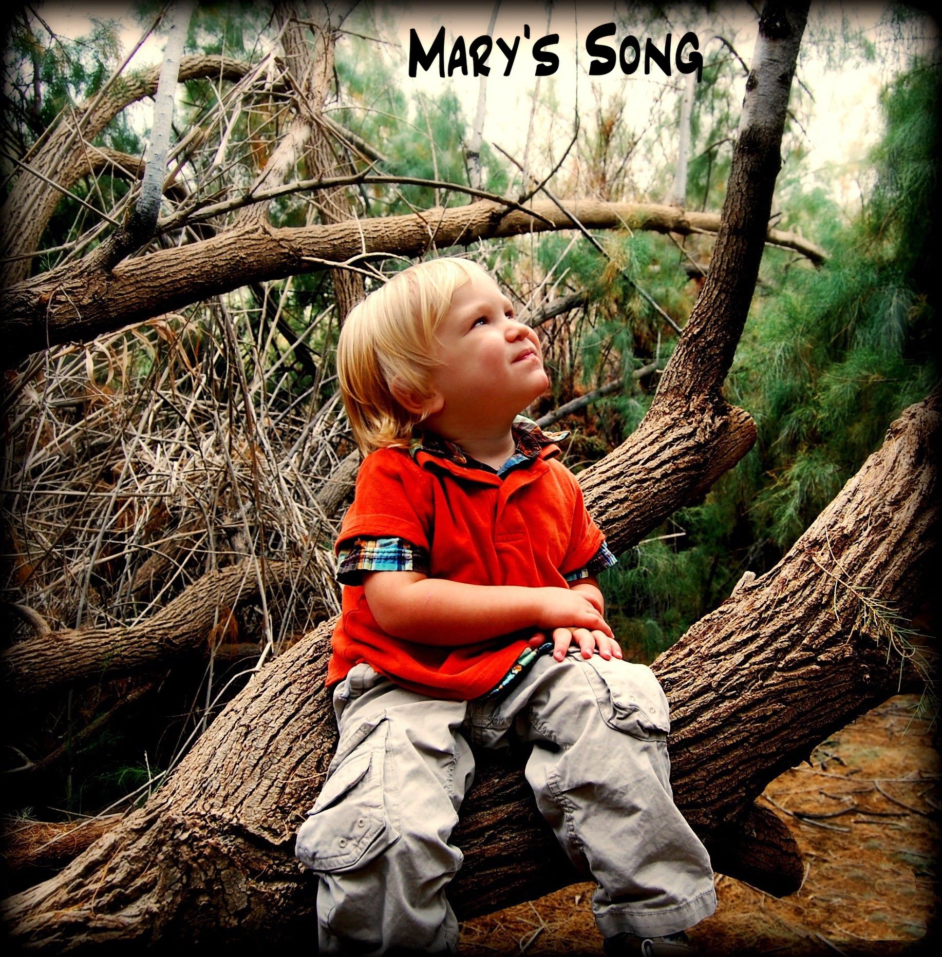 Mary's Song | ReverbNation