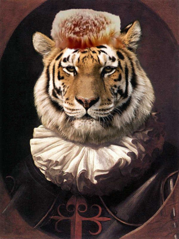 Buzz Cut Tiger | ReverbNation