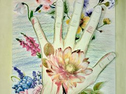 anna anon Videos | ReverbNation