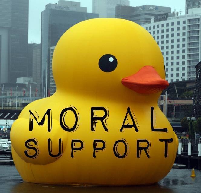 Moral Support | ReverbNation