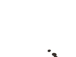 40 LB Snapper | ReverbNation