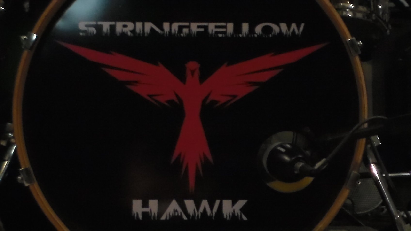 StringFellow Hawk | ReverbNation