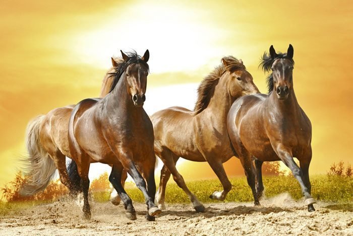 Neverlasting Love by Bill Murphree & Shirley Raye | ReverbNation