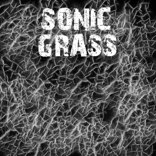 Sonic Grass | ReverbNation