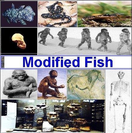 Modified Fish | ReverbNation