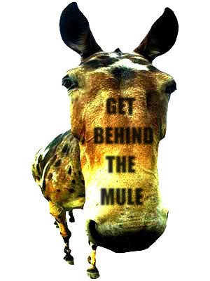 Get Behind The Mule | ReverbNation