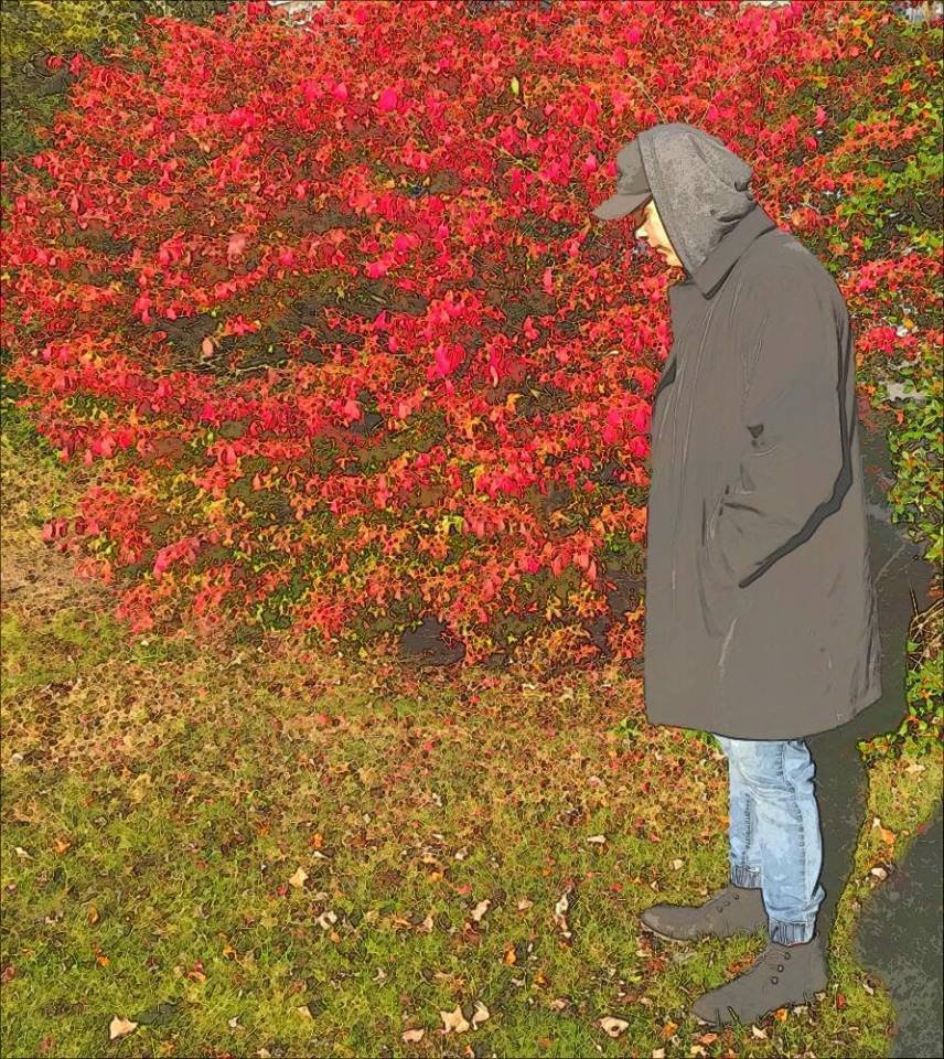 Rob Valentine | ReverbNation