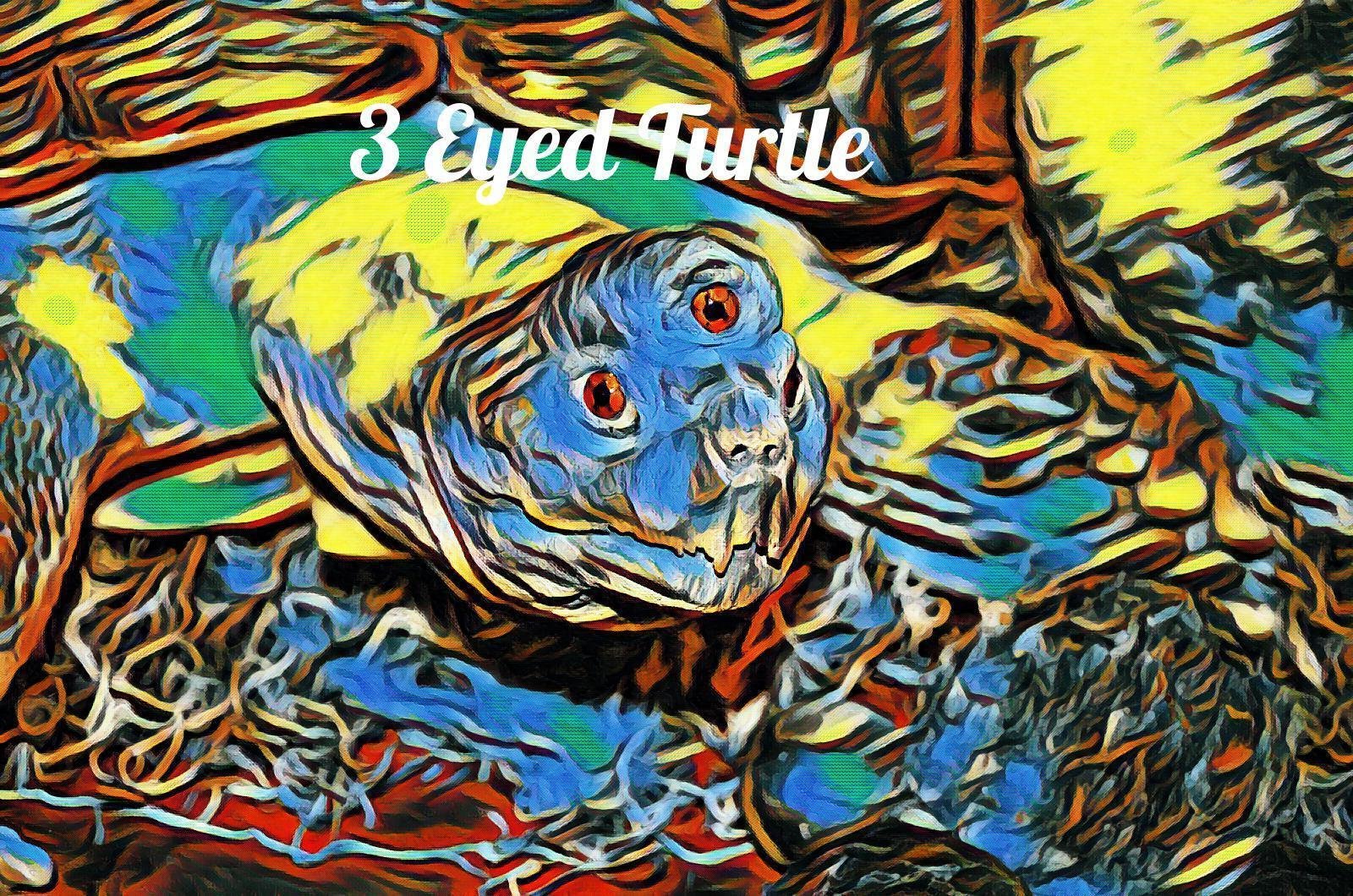 Three-Eyed Turtle | ReverbNation