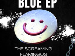 The Screaming Flamingos | ReverbNation