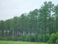 Scott Rodd | ReverbNation