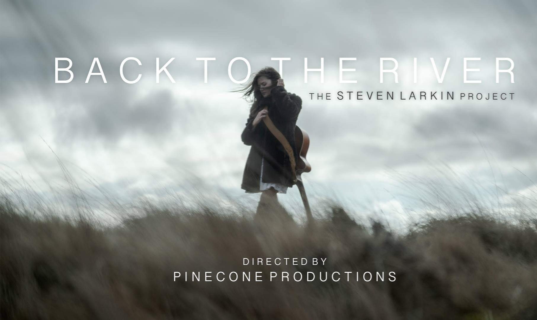 The Steve Larkin Project | ReverbNation