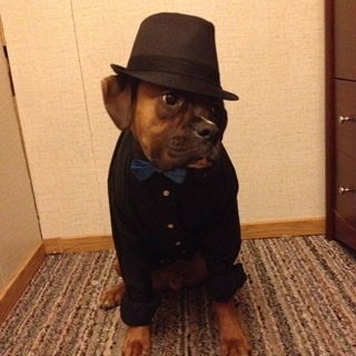 Many More Band | ReverbNation