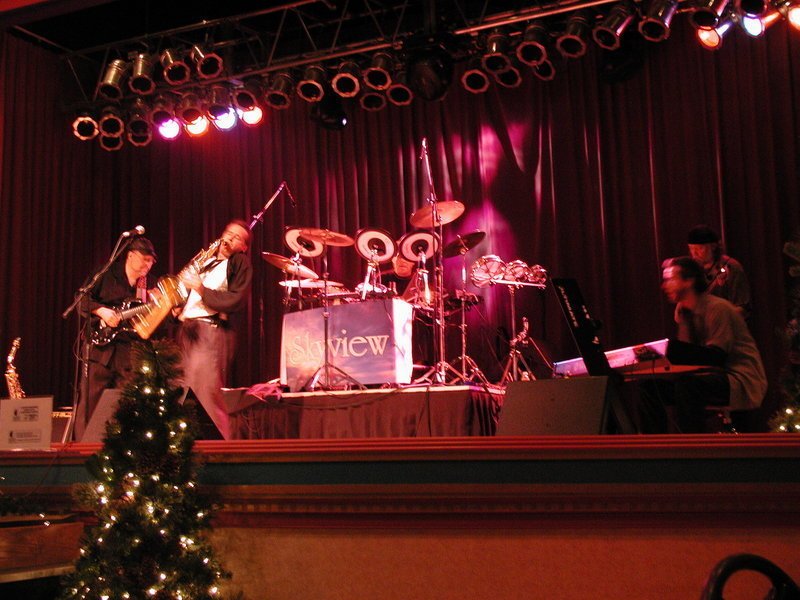 The Skyview Band Produced By Ian Samwell of London | ReverbNation