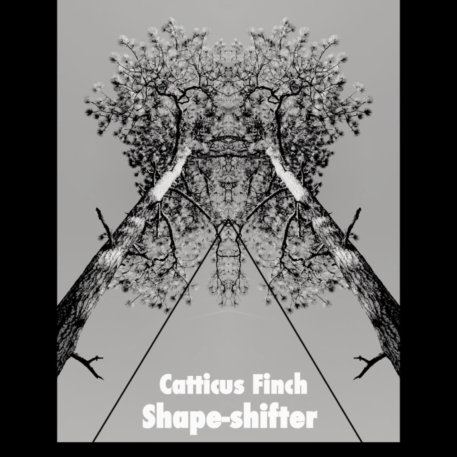 Catticus Finch | ReverbNation