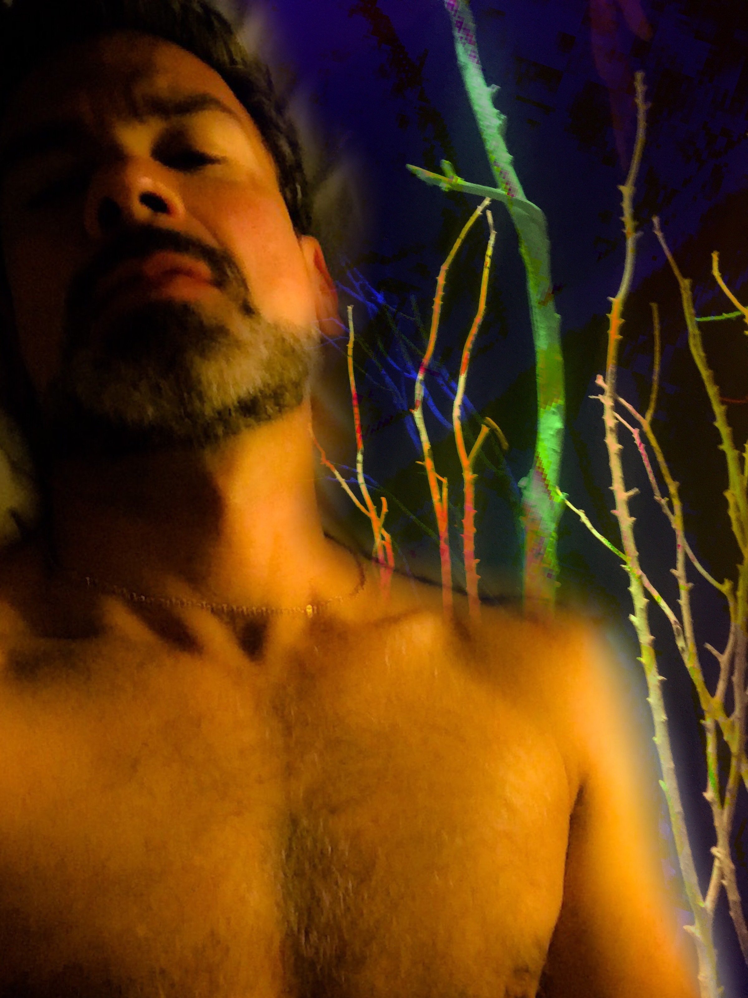 Daniel Link | ReverbNation
