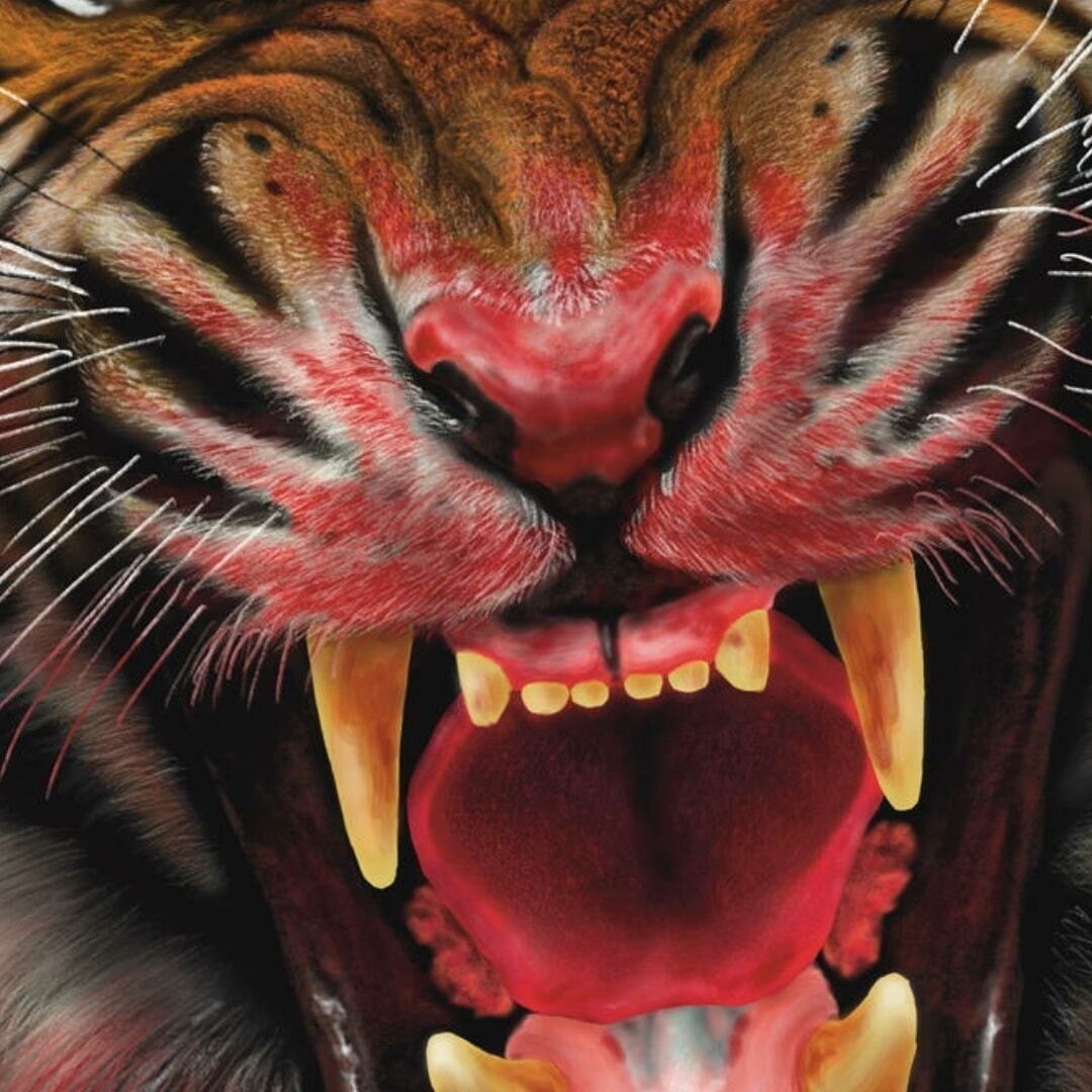 BLOOD TIGERZ | ReverbNation