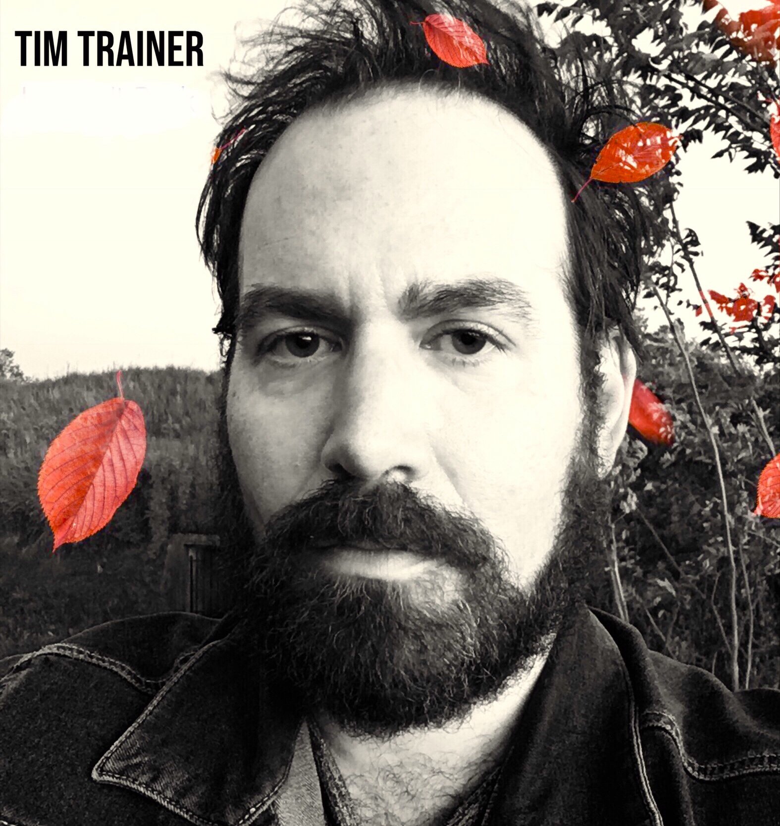 Tim Trainer | ReverbNation