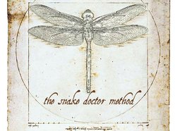The Snake Doctor Method | ReverbNation