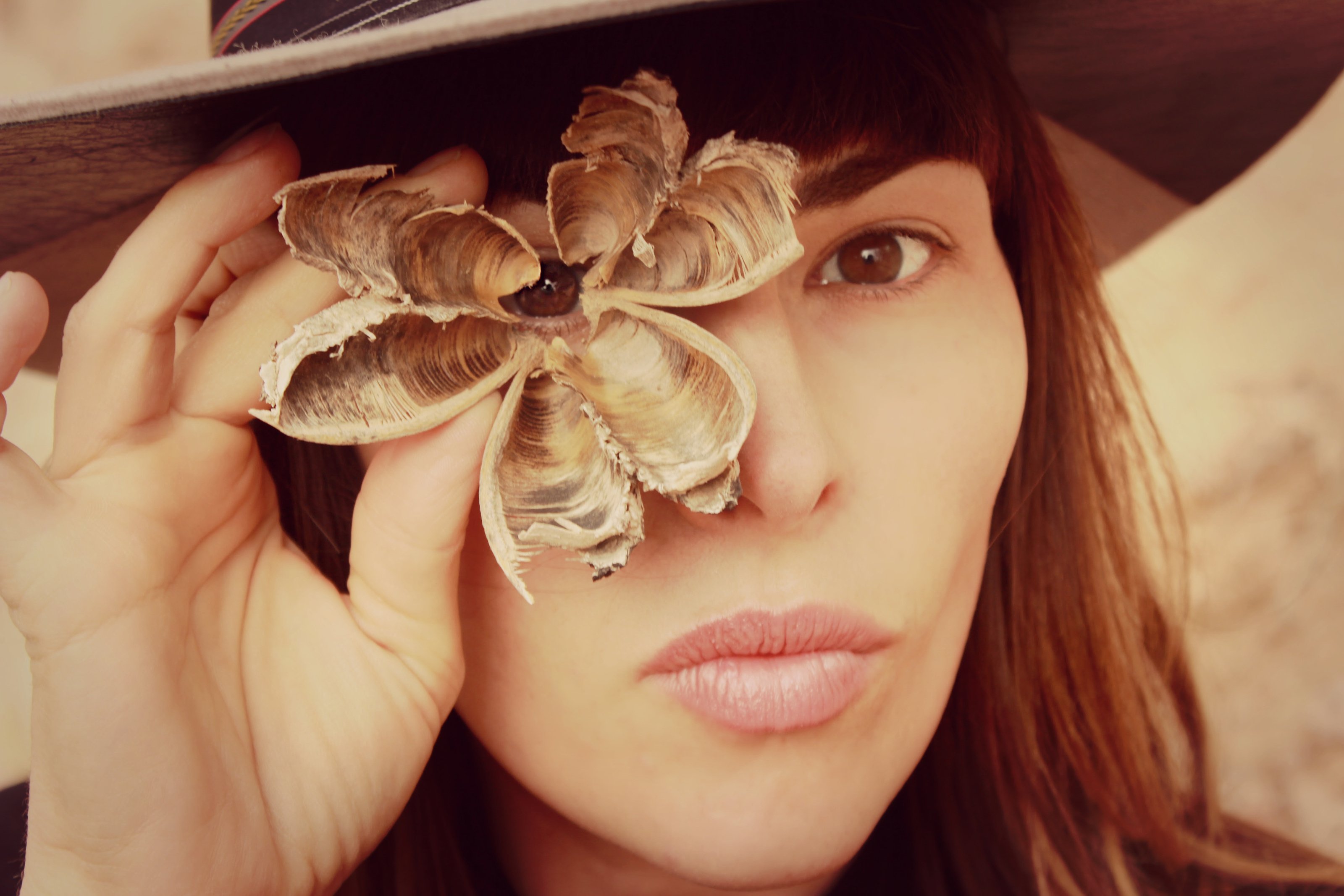 GINGER | ReverbNation