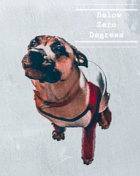 BelowZeroDegrees | ReverbNation