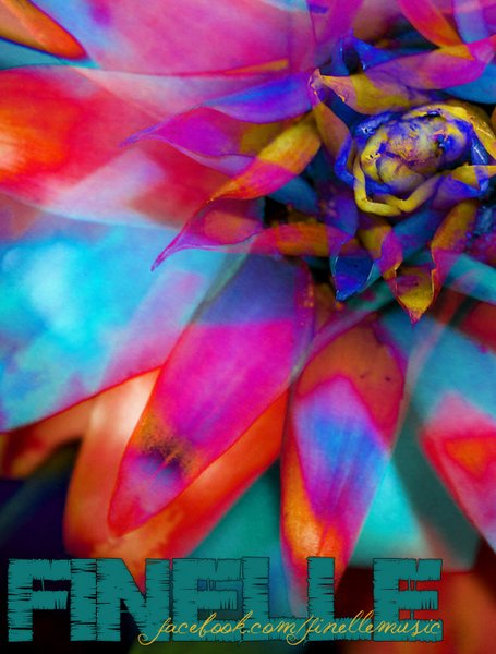 Finelle | ReverbNation