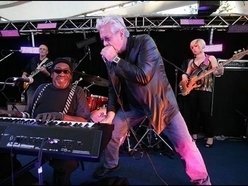 The Wiley Reed Band | ReverbNation