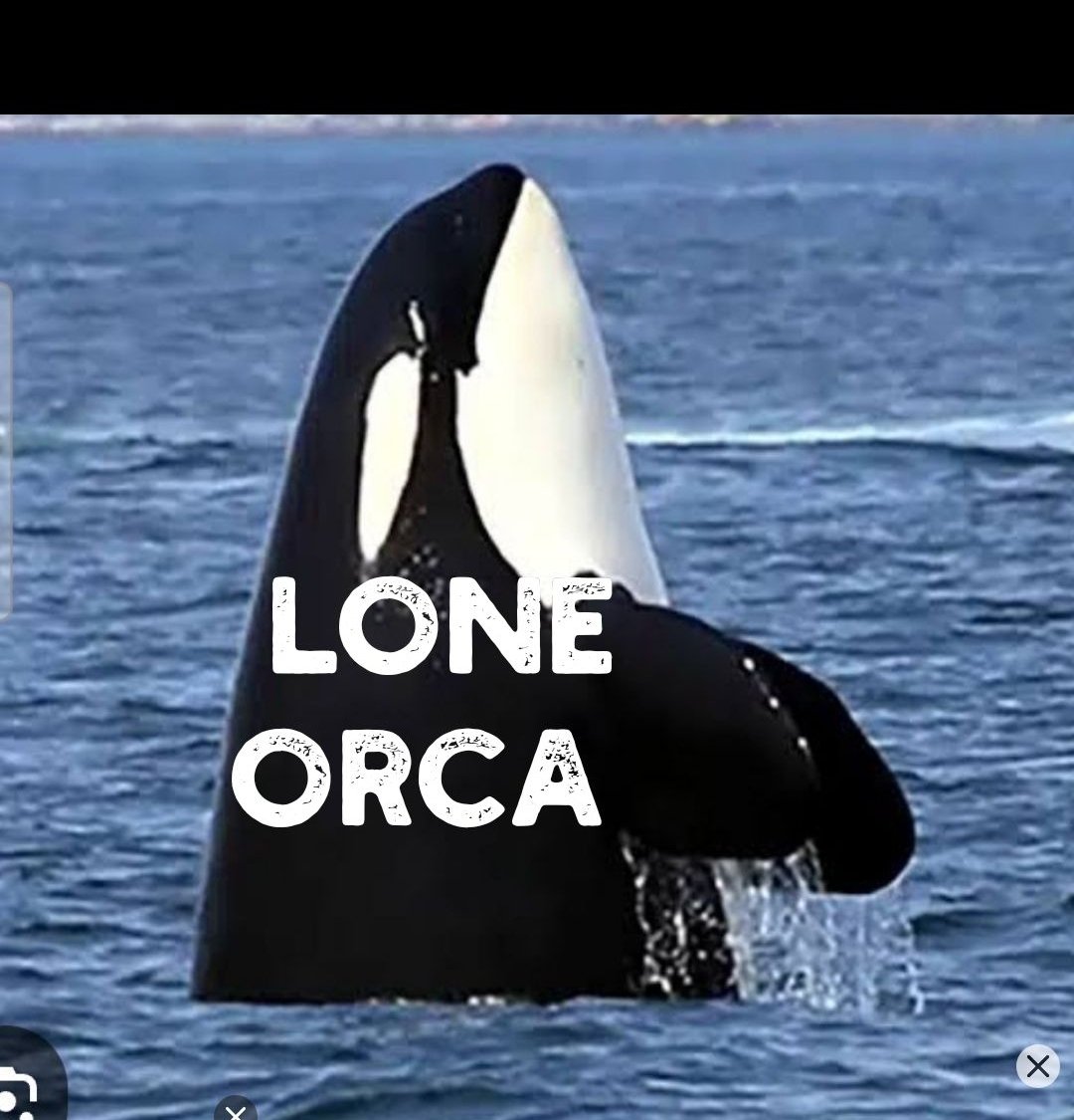 Lone Orca | ReverbNation