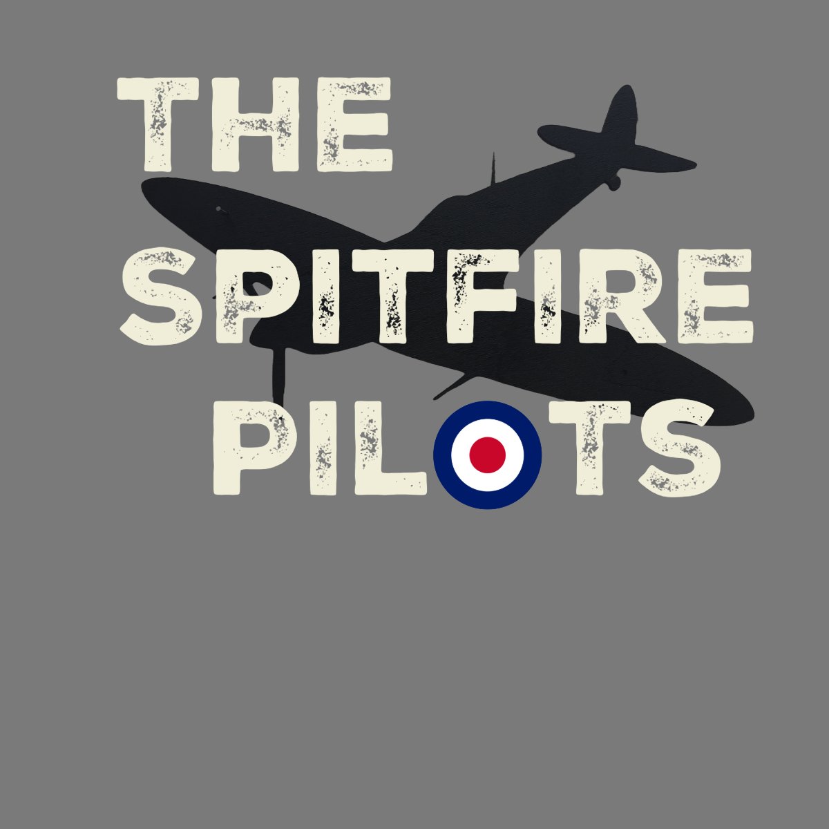 The Spitfire Pilots | ReverbNation